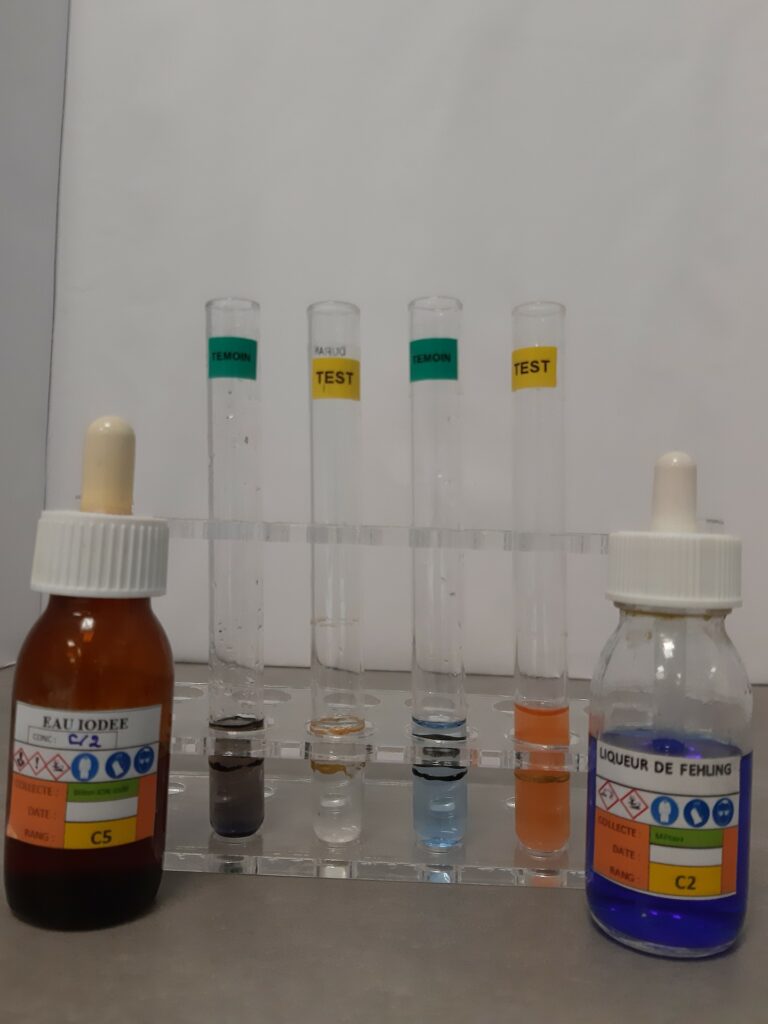 Digestion in vitro de l’Amidon – SVT Labs