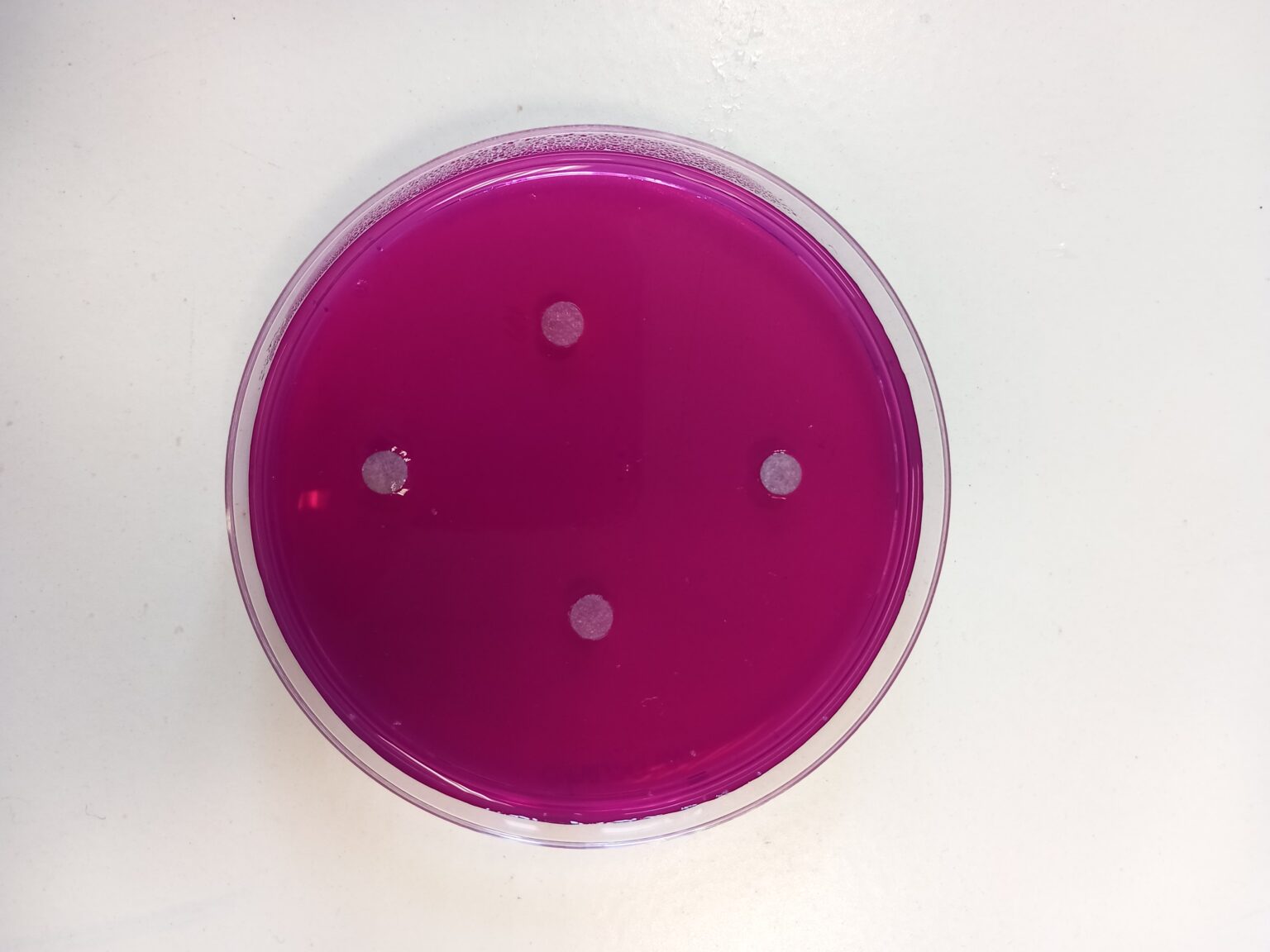 Antibiogramme de substitution – SVT Labs