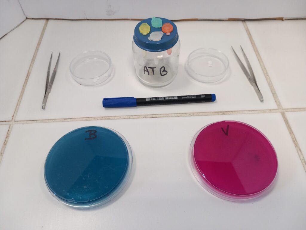 Antibiogramme de substitution – SVT Labs